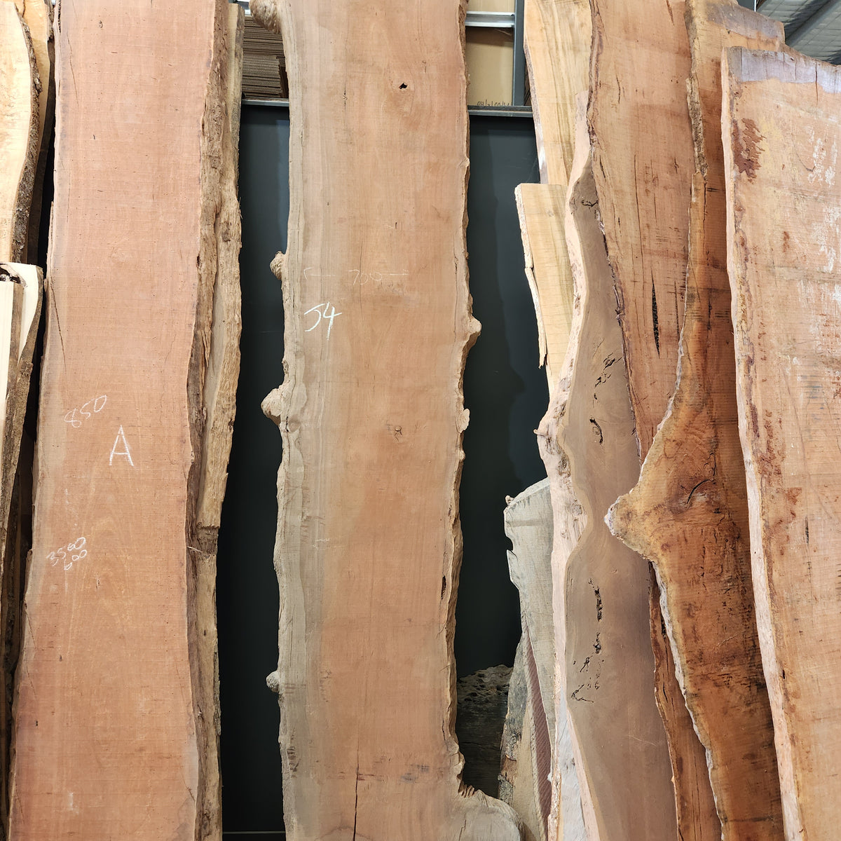 Western Australian Jarrah Slab J4 – Hammer Roo