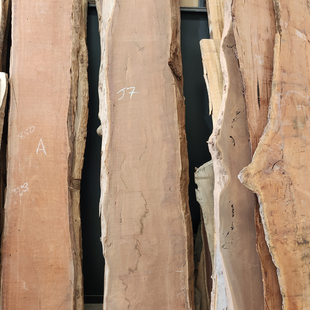 Western Australian Jarrah Slab J7 – Hammer Roo