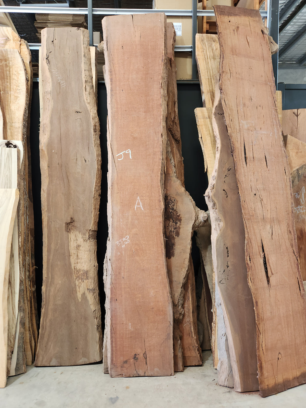 Western Australian Jarrah Slab J9 — Hammer Roo