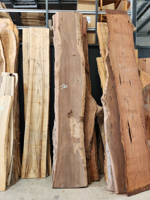 Western Australian Jarrah Slab J10 — Hammer Roo