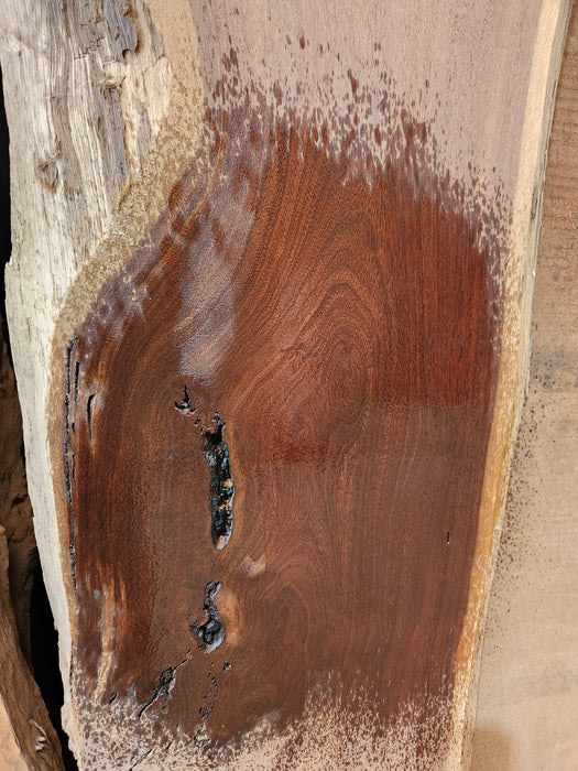 Western Australian Jarrah Slab J12 — Hammer Roo
