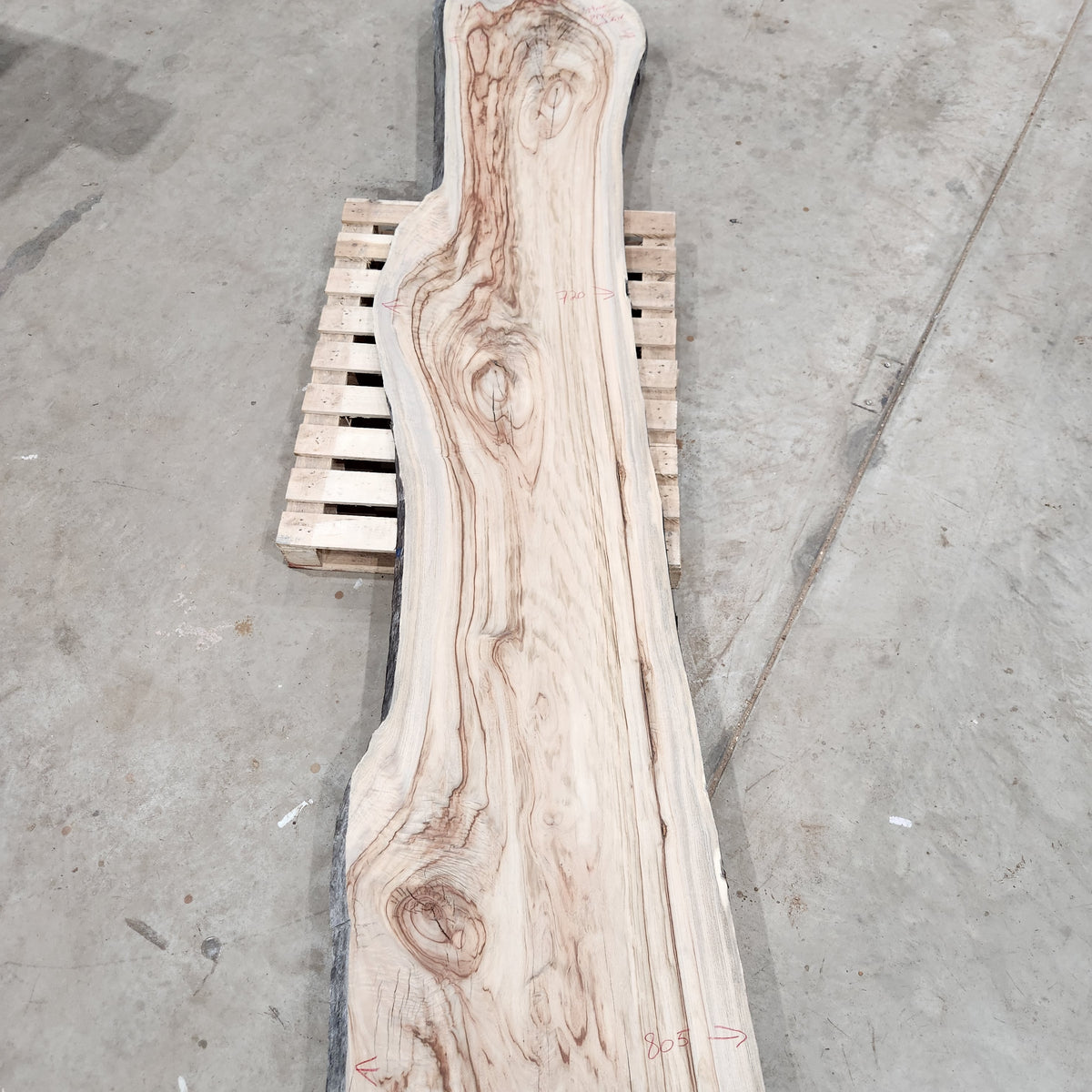 Camphor Laurel Slab 305 – Hammer Roo